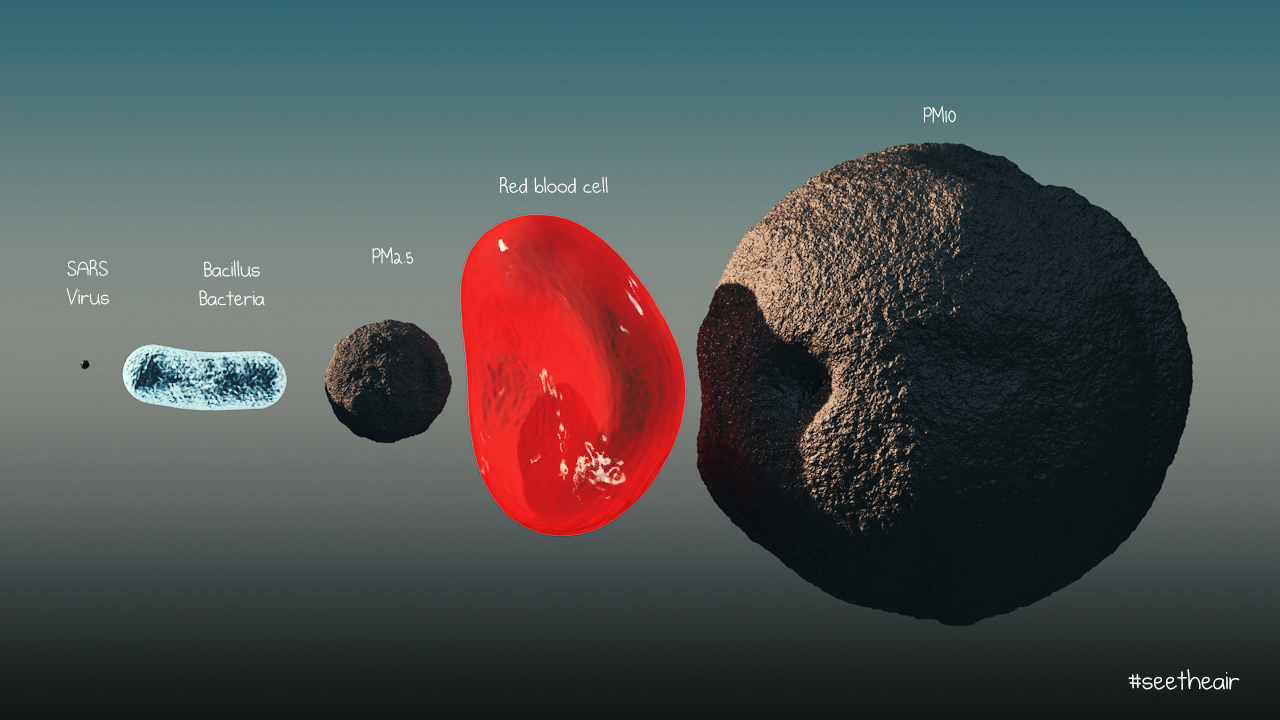 Particle-Sizes-Virus-Labelled